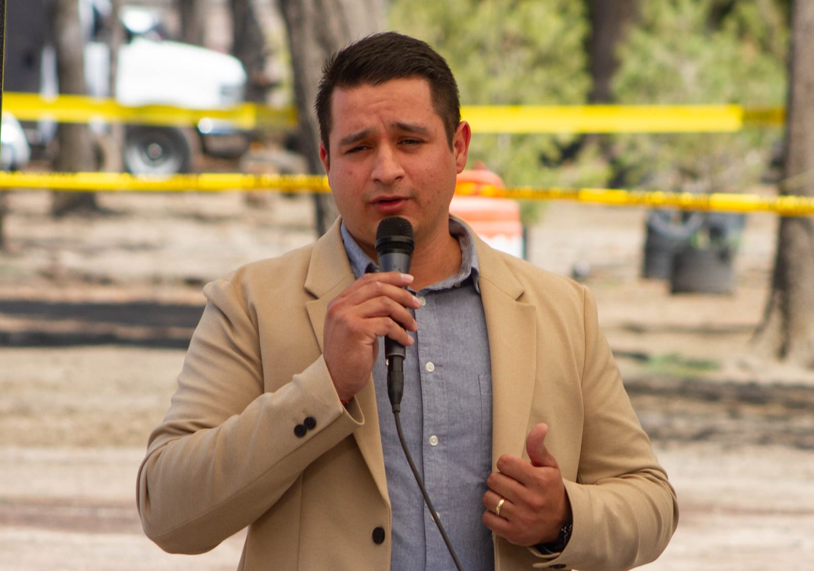 Recomiendan expertos reubicar ahuehuete de la Glorieta de Reforma y ...