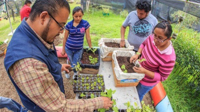 Promueve Sedema Mejorar Calidad De Vida De La Cdmx A Través De La