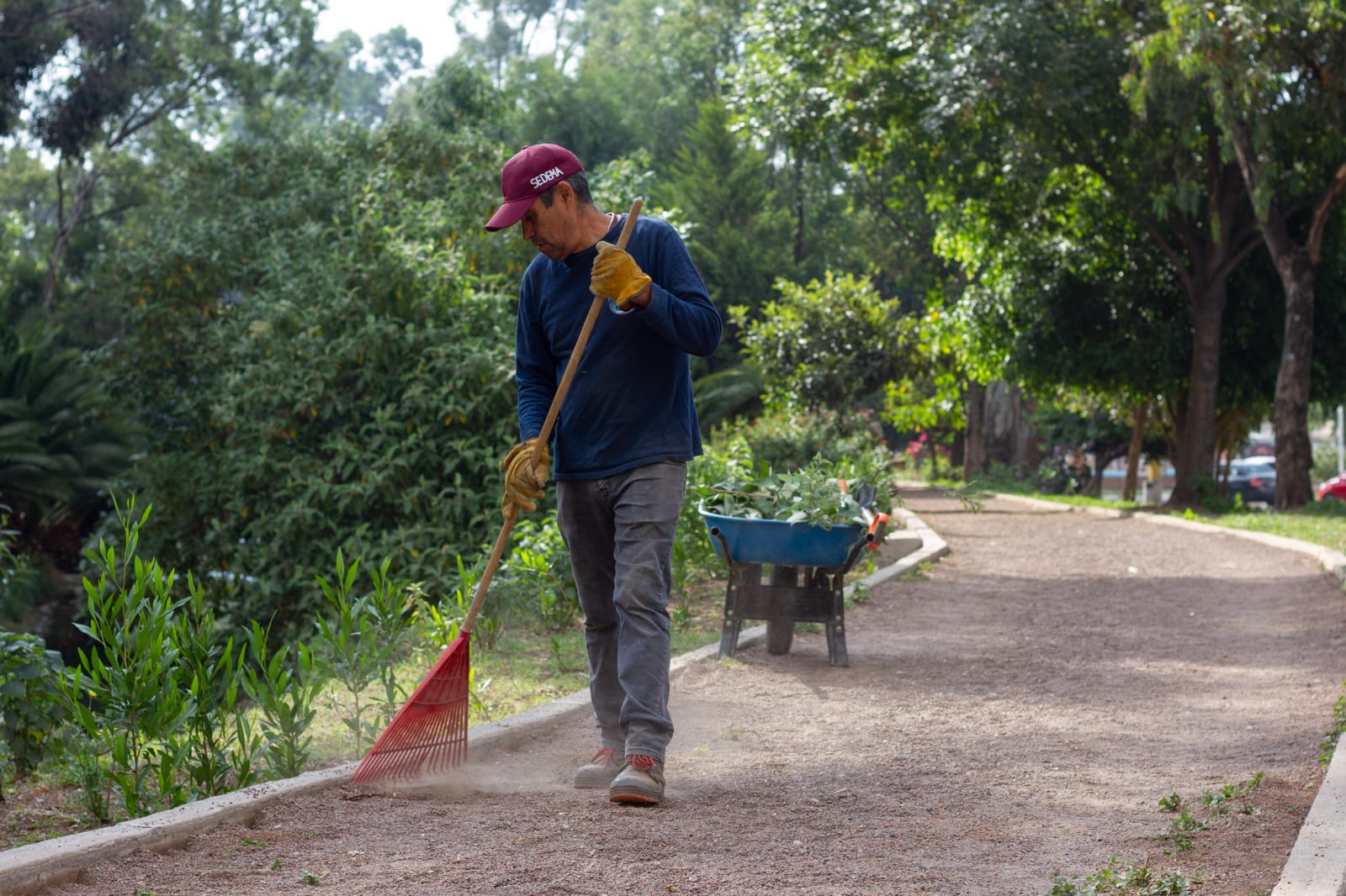 Realizan brigadas de la Sedema labores de limpieza y conservación en Canal Nacional