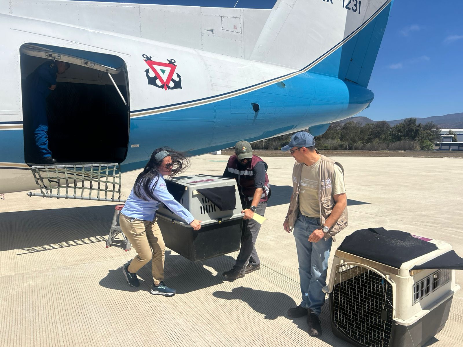 SEDEMA, SEMARNAT, SEMAR y CONANP fortalecen la conservación del cóndor ...